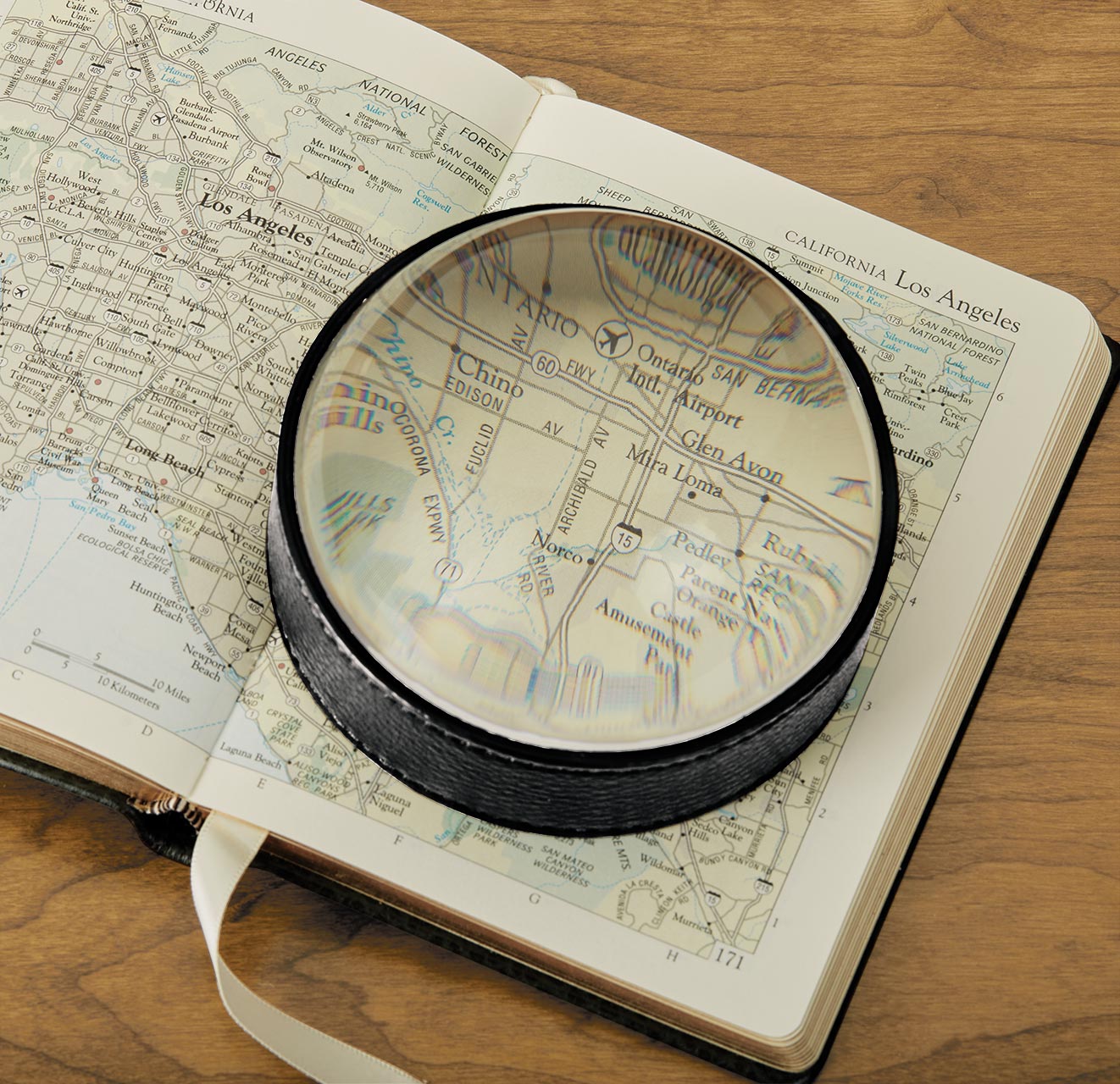 Executive Leather Dome Magnifier